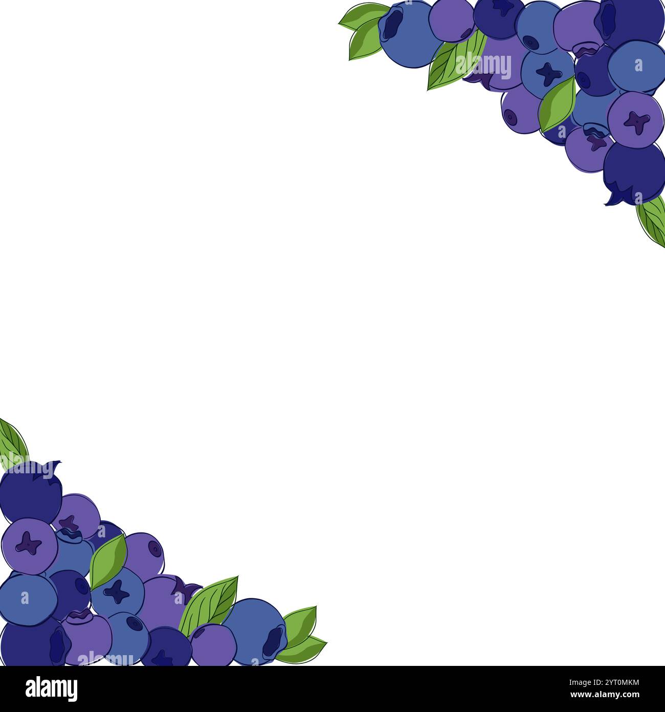 Blueberry square frame. vector Graphic line illustration. Isolated on a ...