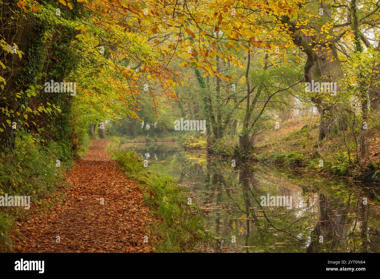 Bannau brycheiniog national park canal hi-res stock photography and ...