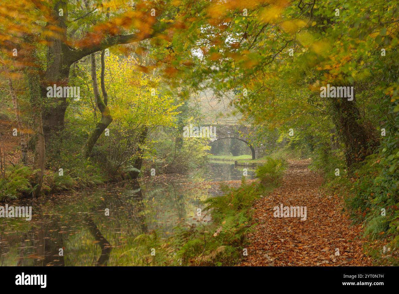 Bannau brycheiniog national park canal hi-res stock photography and ...