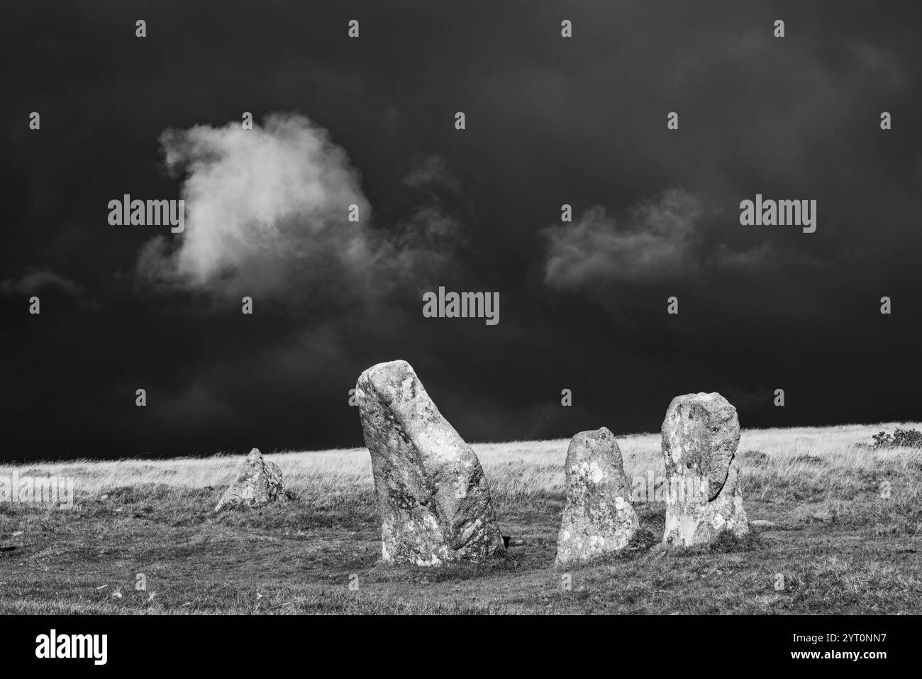 Megalithic standing stones at Scorhill Stone Circle in Dartmoor ...
