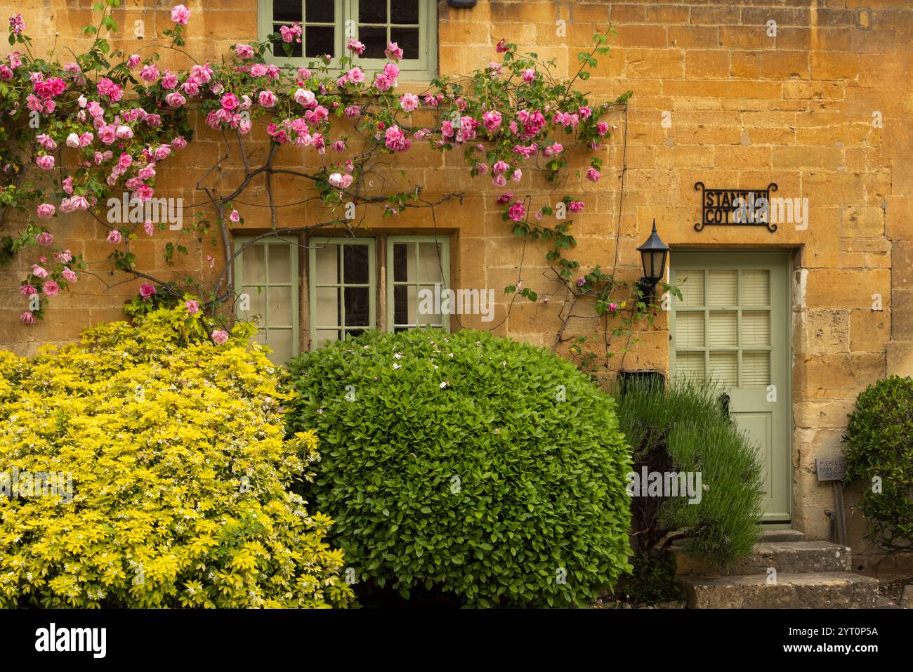 Flowering roses on a pretty cottage in the Cotswolds village of Stanton ...
