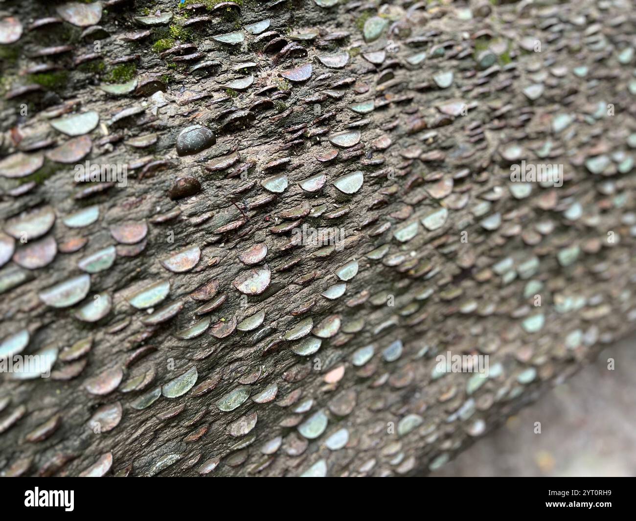 Strid Wood & Bolton Abbey Stock Photo - Alamy