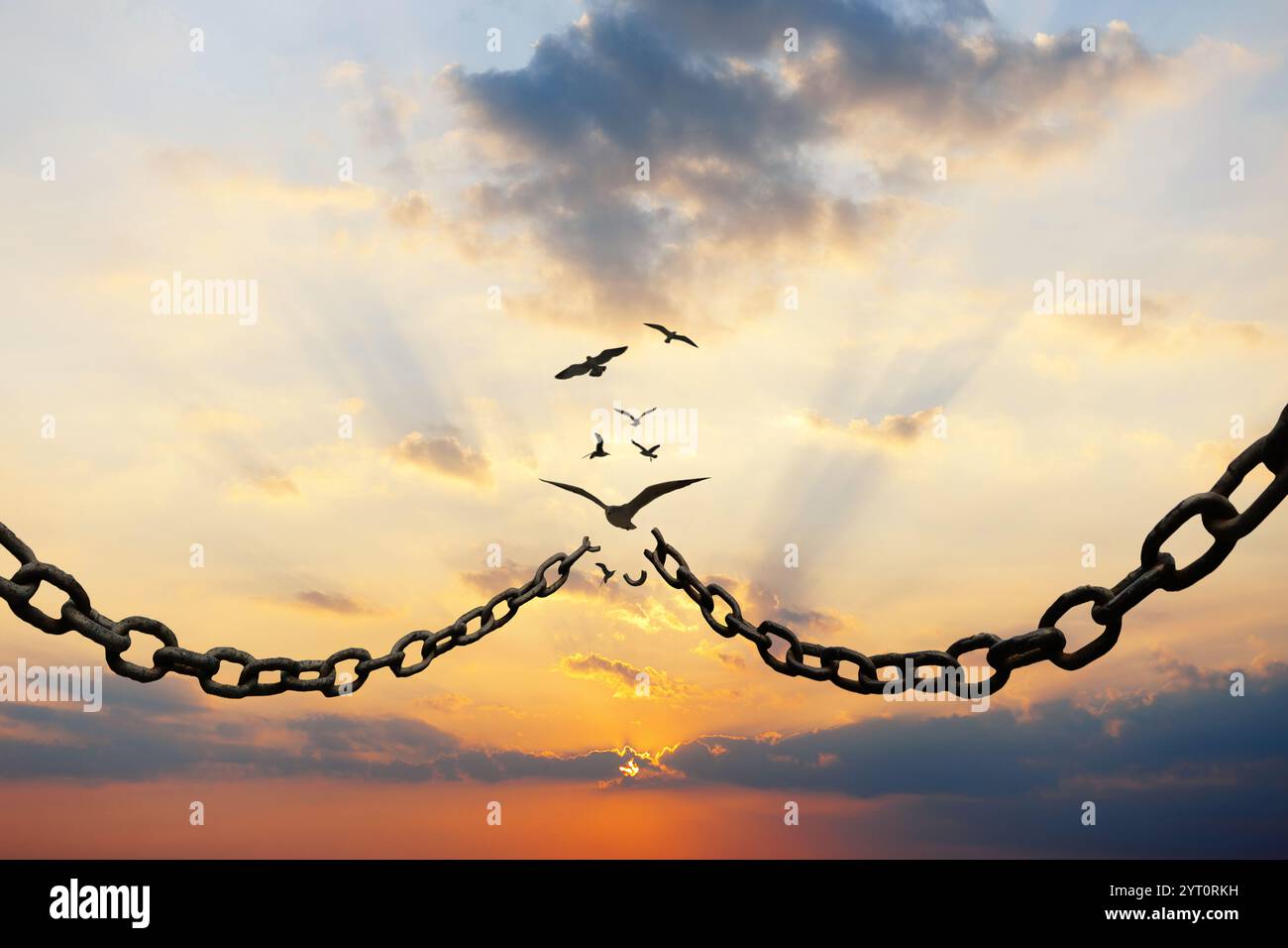 Metal chains break and birds fly at sunset in the sky, concept. Freedom ...