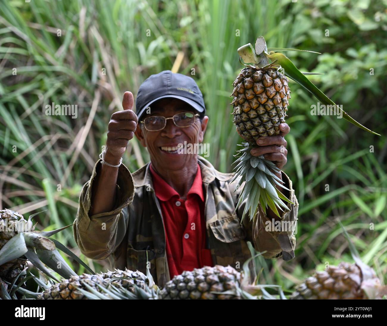 Smiling pineapple farmer Laos Stock Photo - Alamy