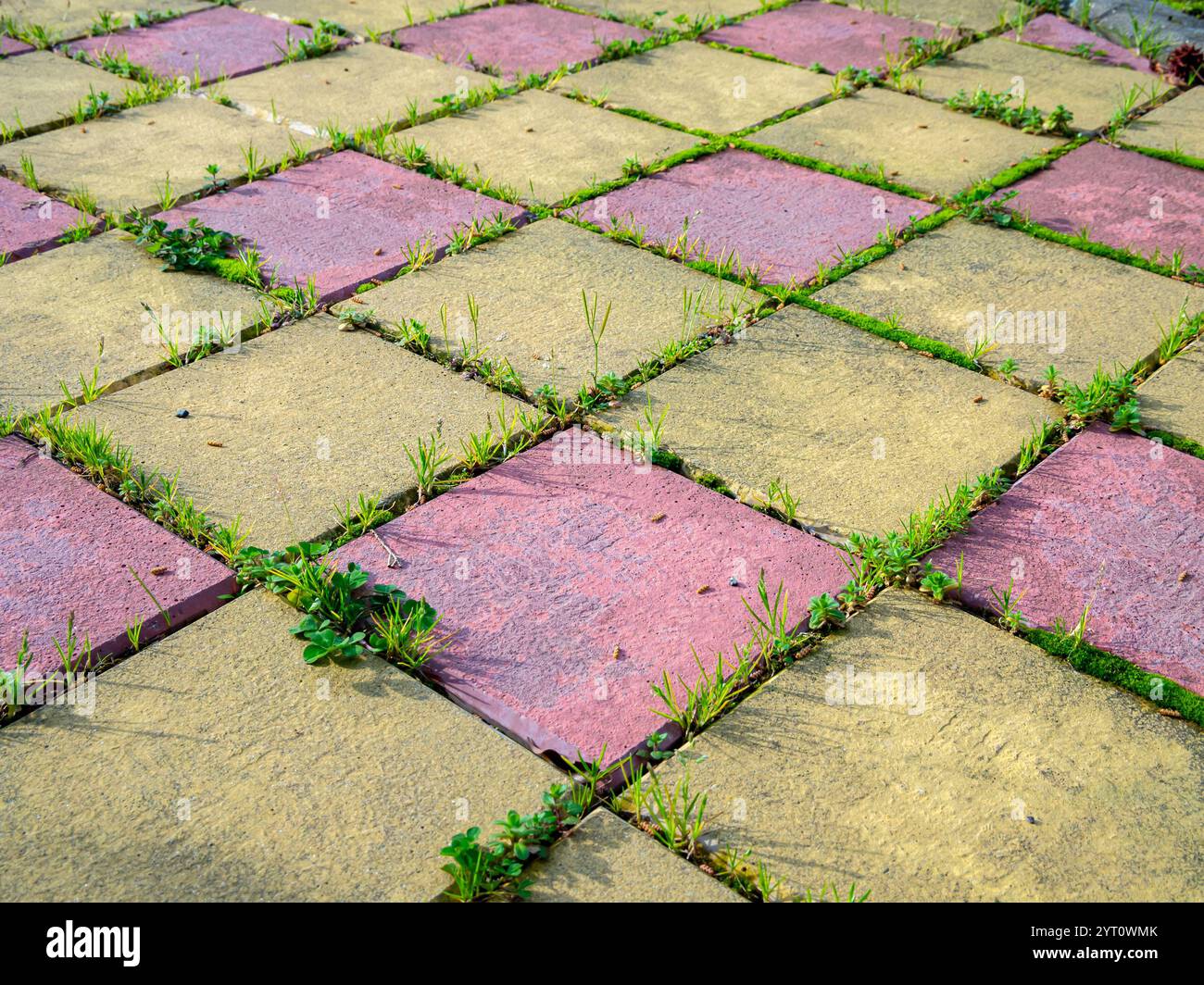 Grass between paving slabs hi-res stock photography and images - Alamy