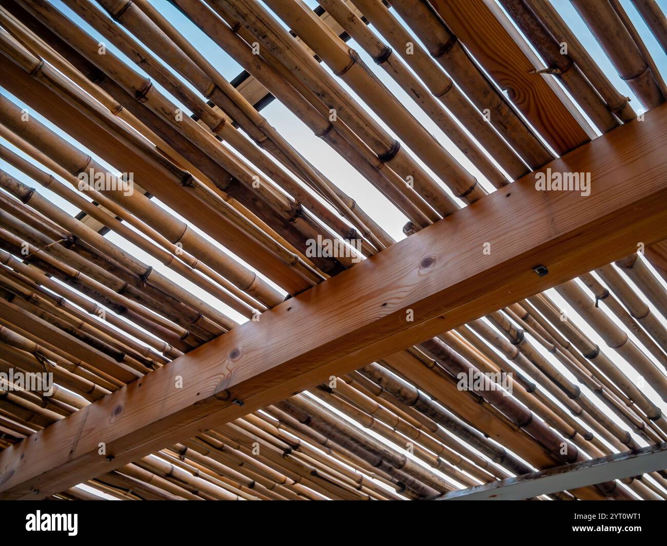 Bamboo stems as roof covering for a canopy Stock Photo - Alamy