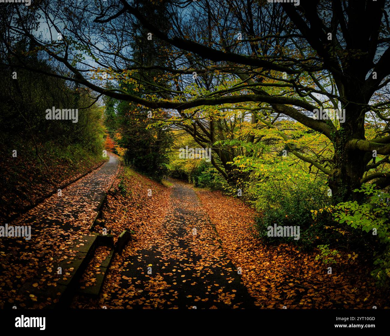 Autumn arrives in Brungerley Park, Clitheroe, Ribble Valley, Lancashire ...