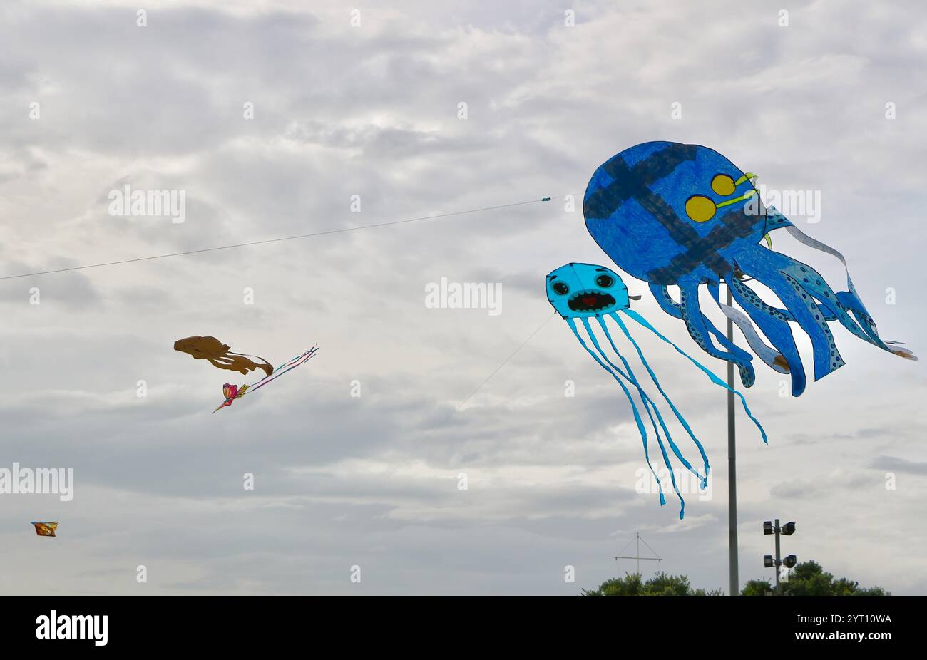 Local artist Marta Valledor with octopus themed kites Botin Centre part ...
