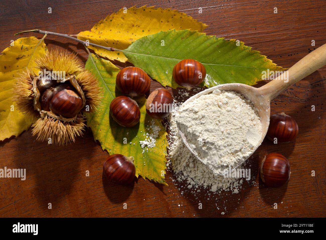 Chestnut flour with chestnuts, leaves and chestnut hedgehogs Stock ...