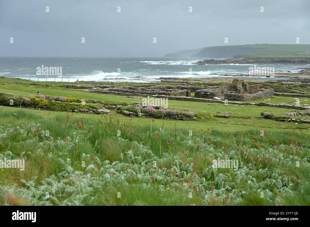 Ruins of Norse village on Brough of Birsay, Orkney, Scotland June Stock ...
