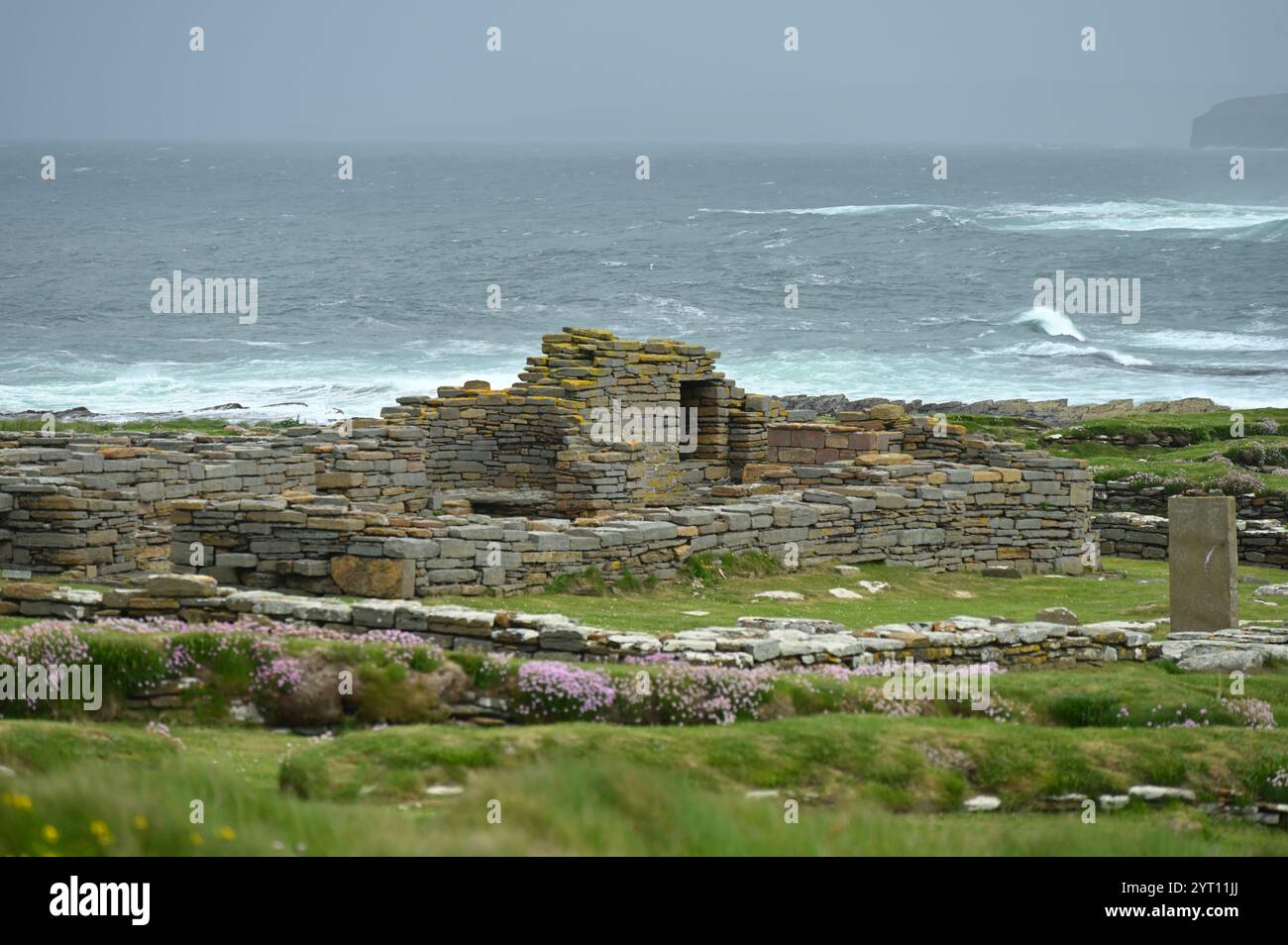 Ruins of Norse village on Brough of Birsay, Orkney, Scotland June Stock ...