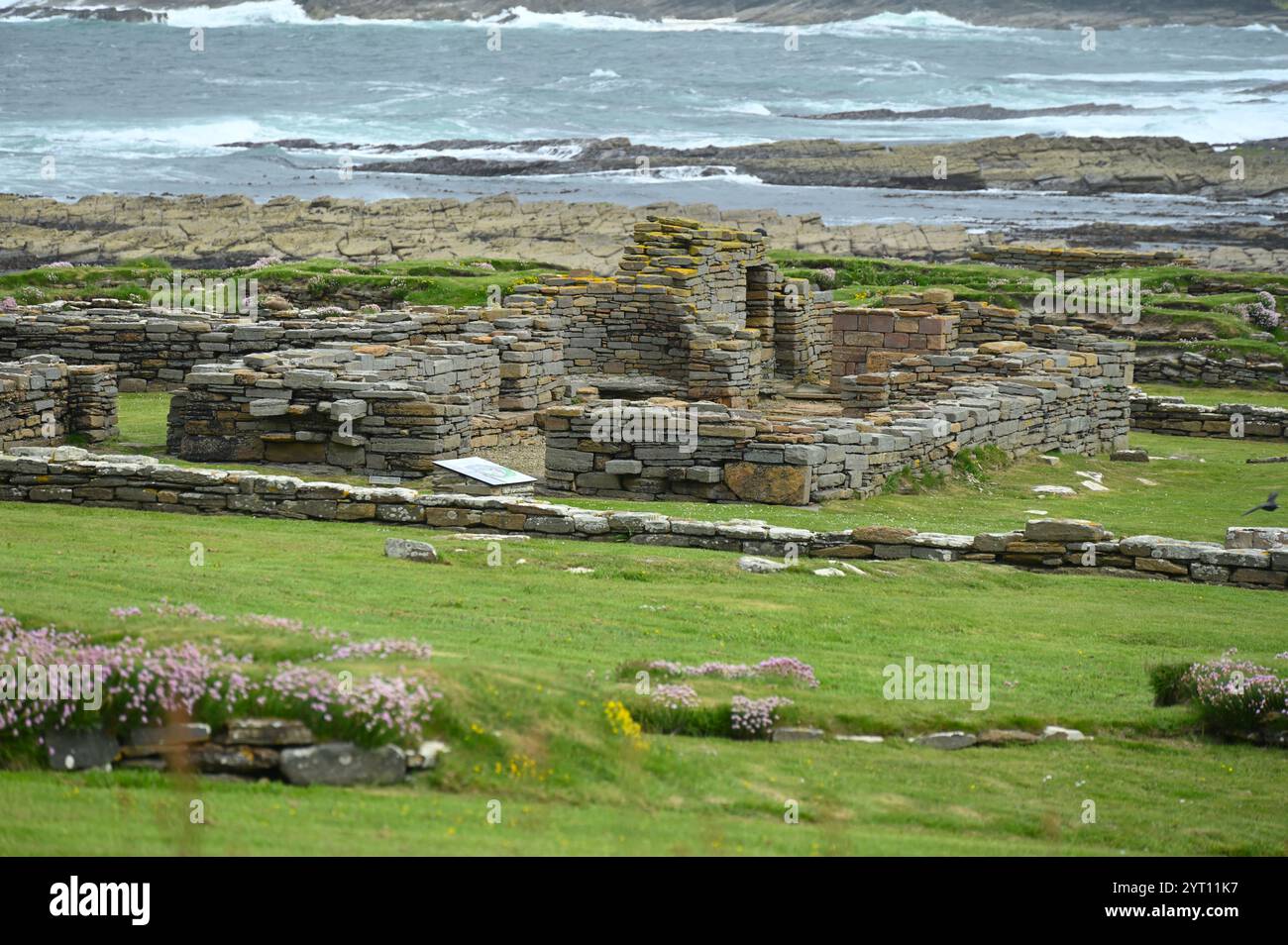 Ruins of Norse village on Brough of Birsay, Orkney, Scotland June Stock ...