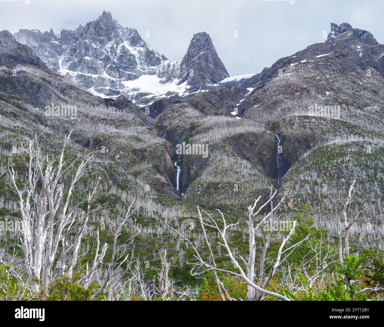 East face of Paine Grande in the Torres del Paine National Park whose ...