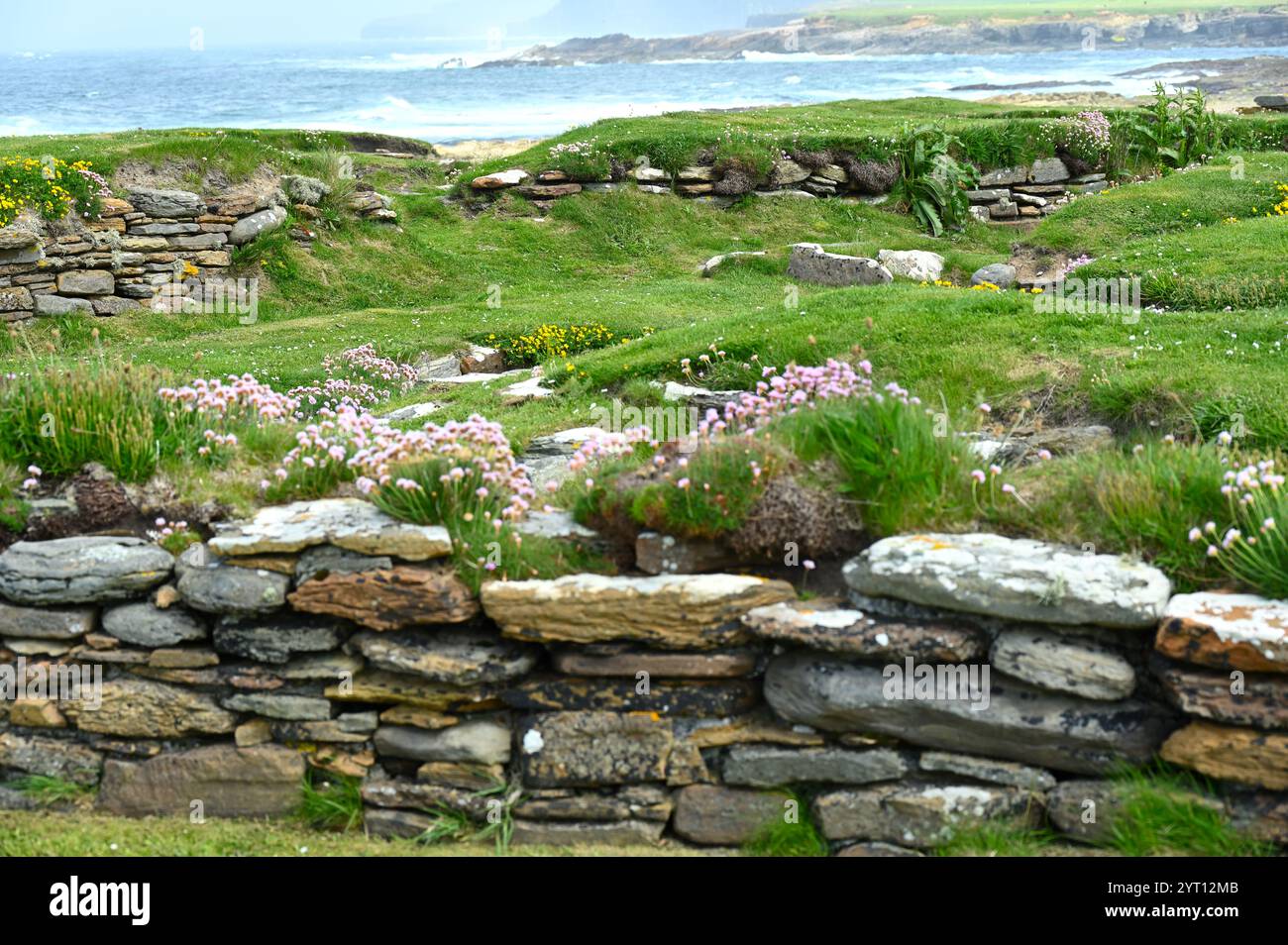 Ruins of Norse village on Brough of Birsay, Orkney, Scotland June Stock ...