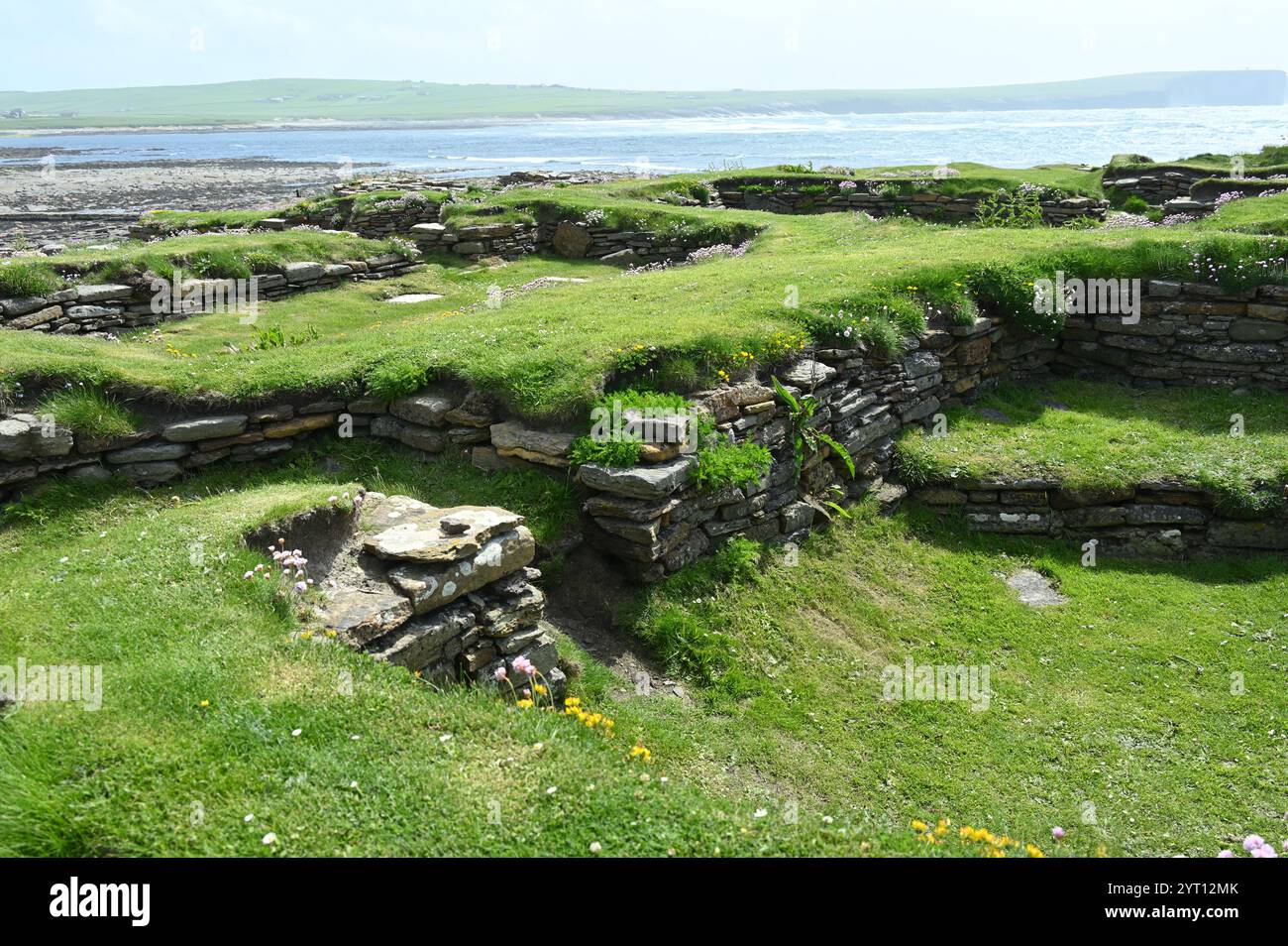 Ruins of Norse village on Brough of Birsay, Orkney, Scotland June Stock ...