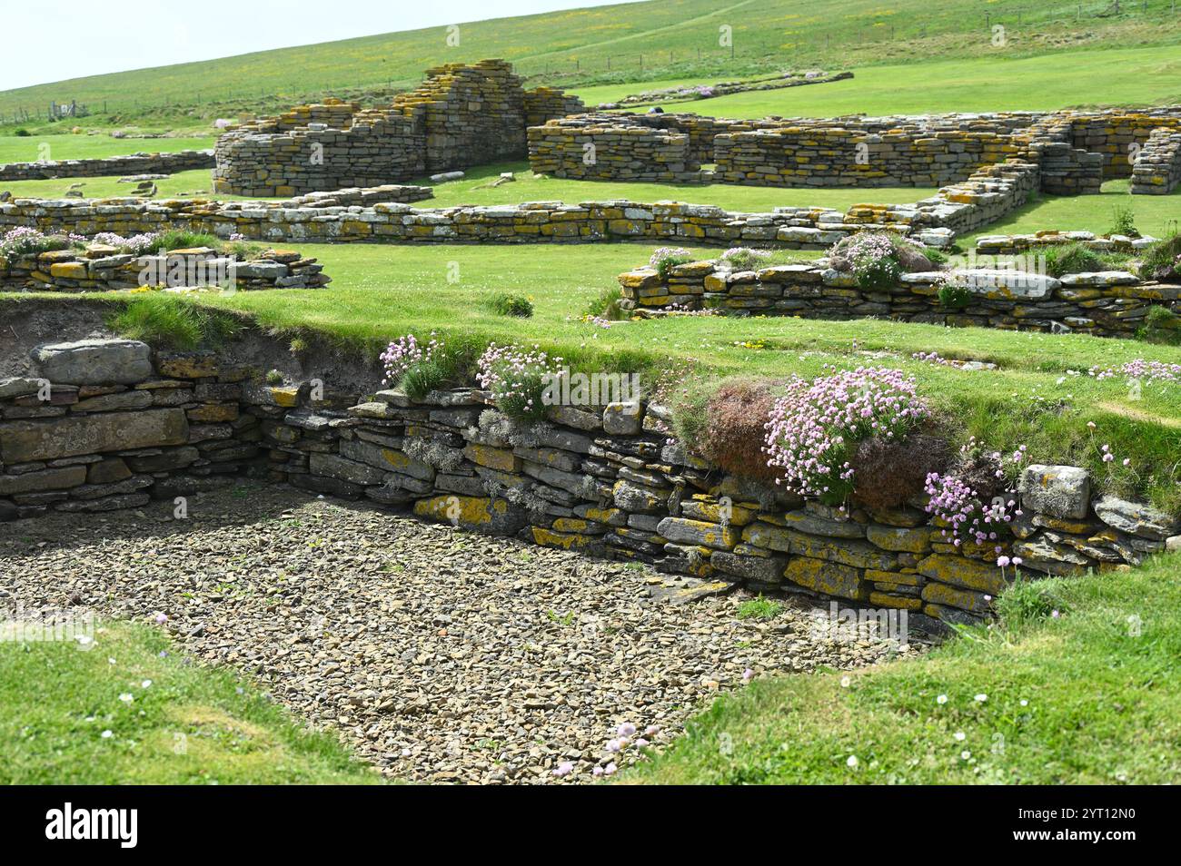 Ruins of Norse village on Brough of Birsay, Orkney, Scotland June Stock ...