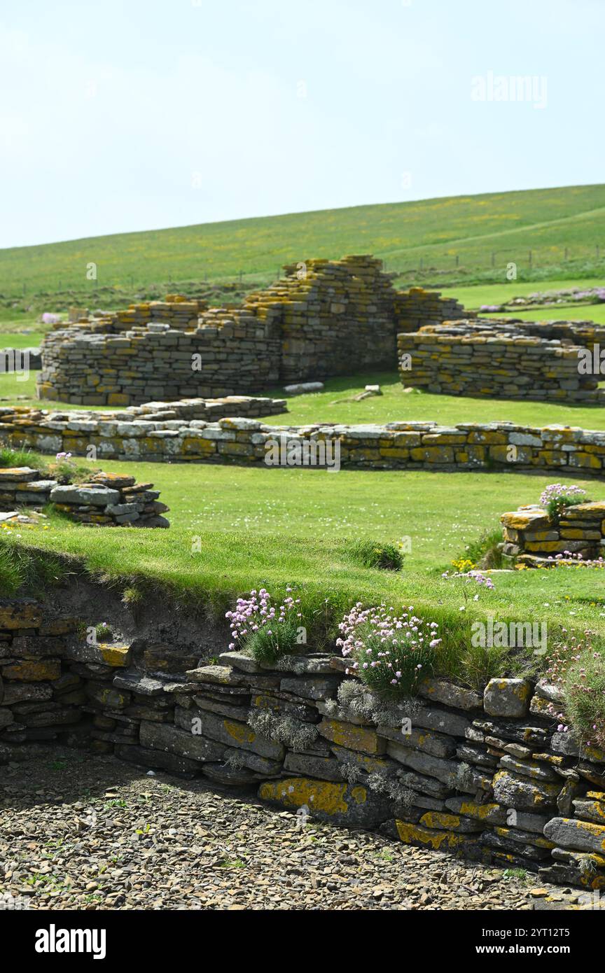 Ruins of Norse village on Brough of Birsay, Orkney, Scotland June Stock ...