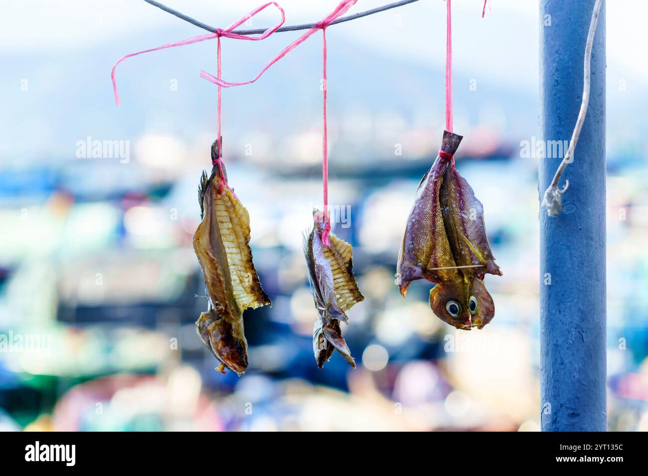 Dried fish in Cheung Chau/Hong Kong. The island is a popular ...