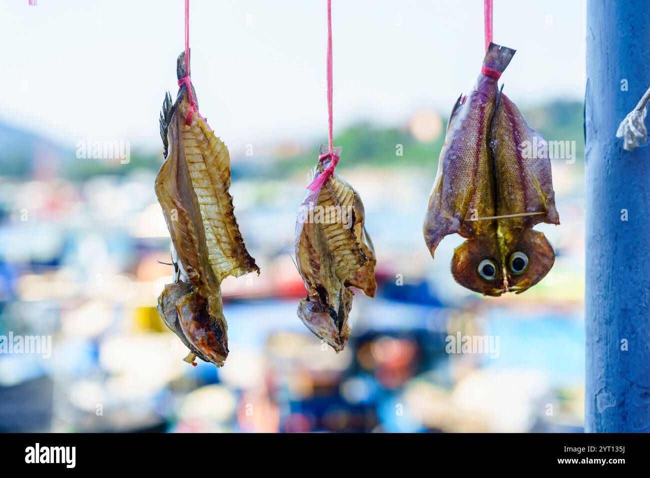 Dried fish in Cheung Chau/Hong Kong. The island is a popular ...