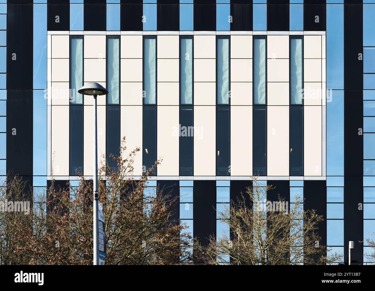 Perpendicular Lines In Architecture Everything You Should Know About