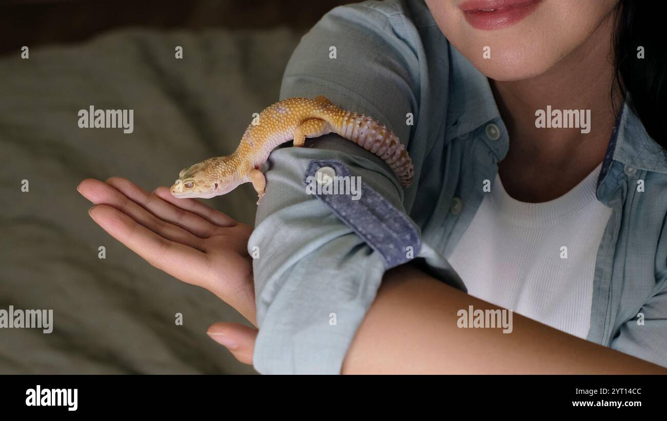 A close-up of a smiling woman interacting with a gecko on her arm. The ...