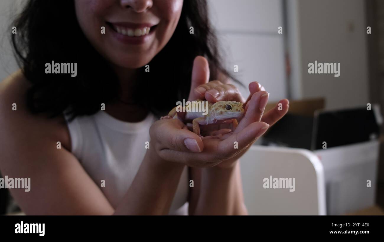 A leopard gecko rests peacefully in human hands, enjoying a moment of ...