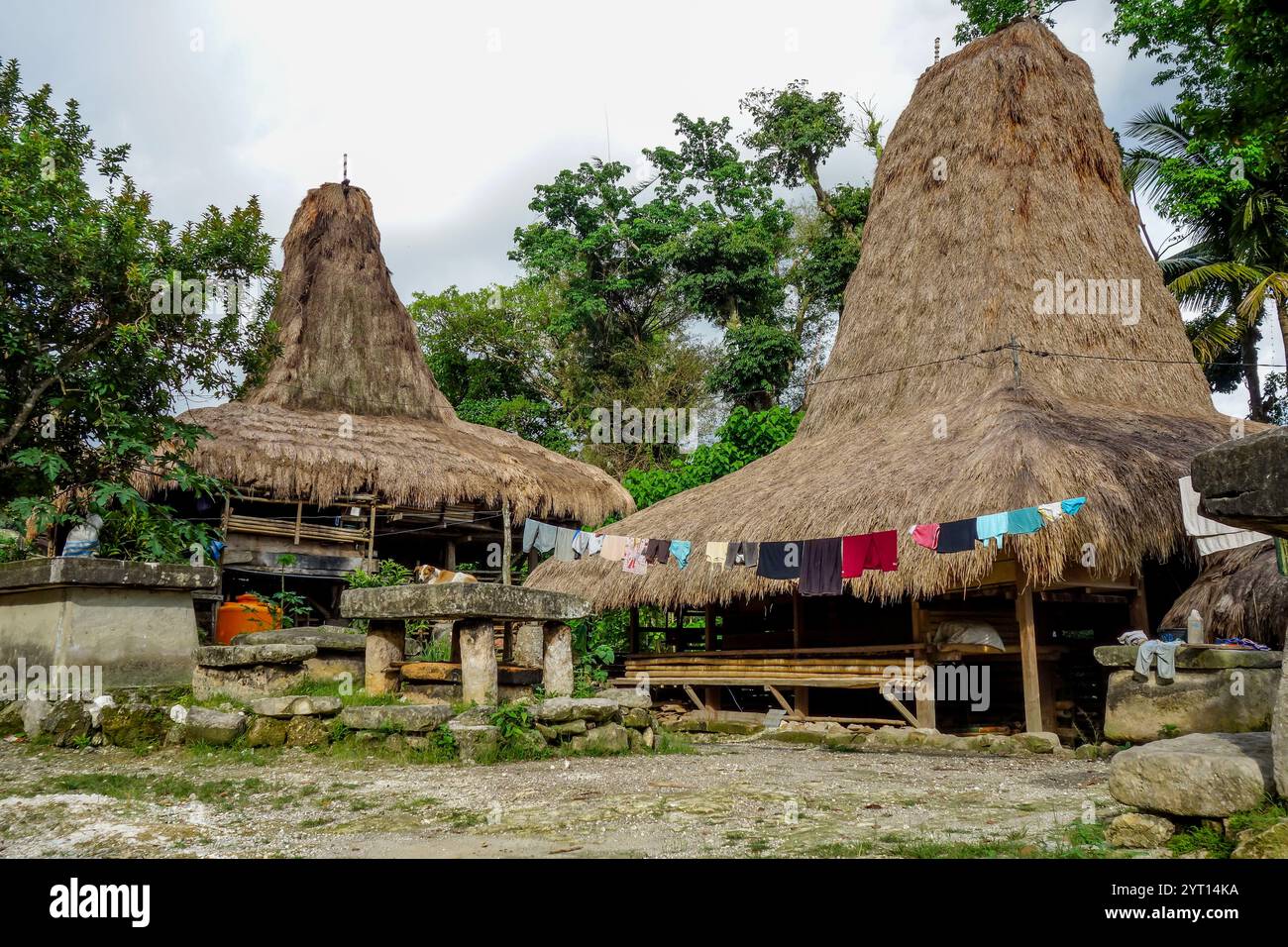 Traditional houses in a settlement on Sumba island, Indonesia Stock ...