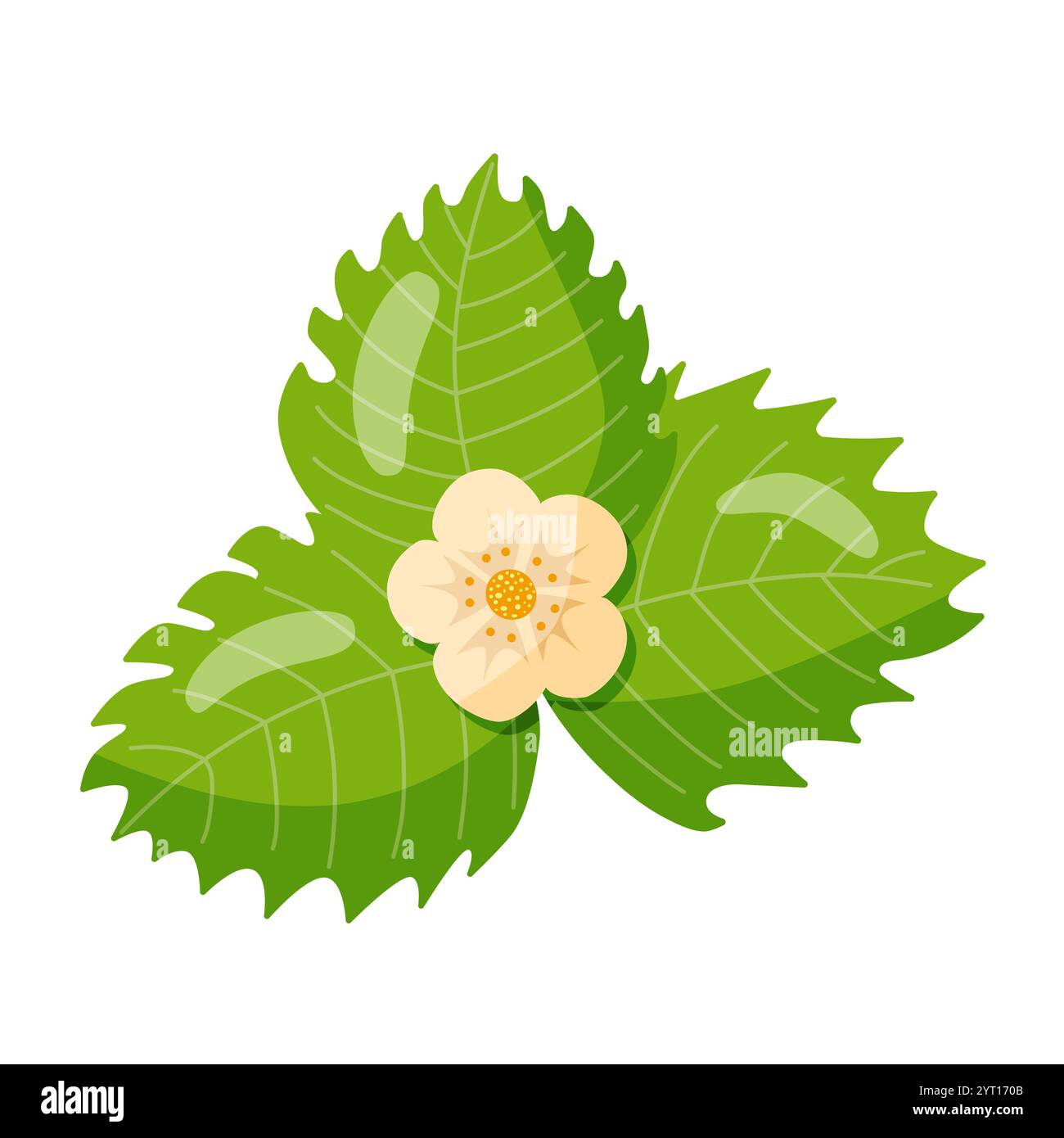 colorful strawberry flower, wild strawberry with lush green leaves ...