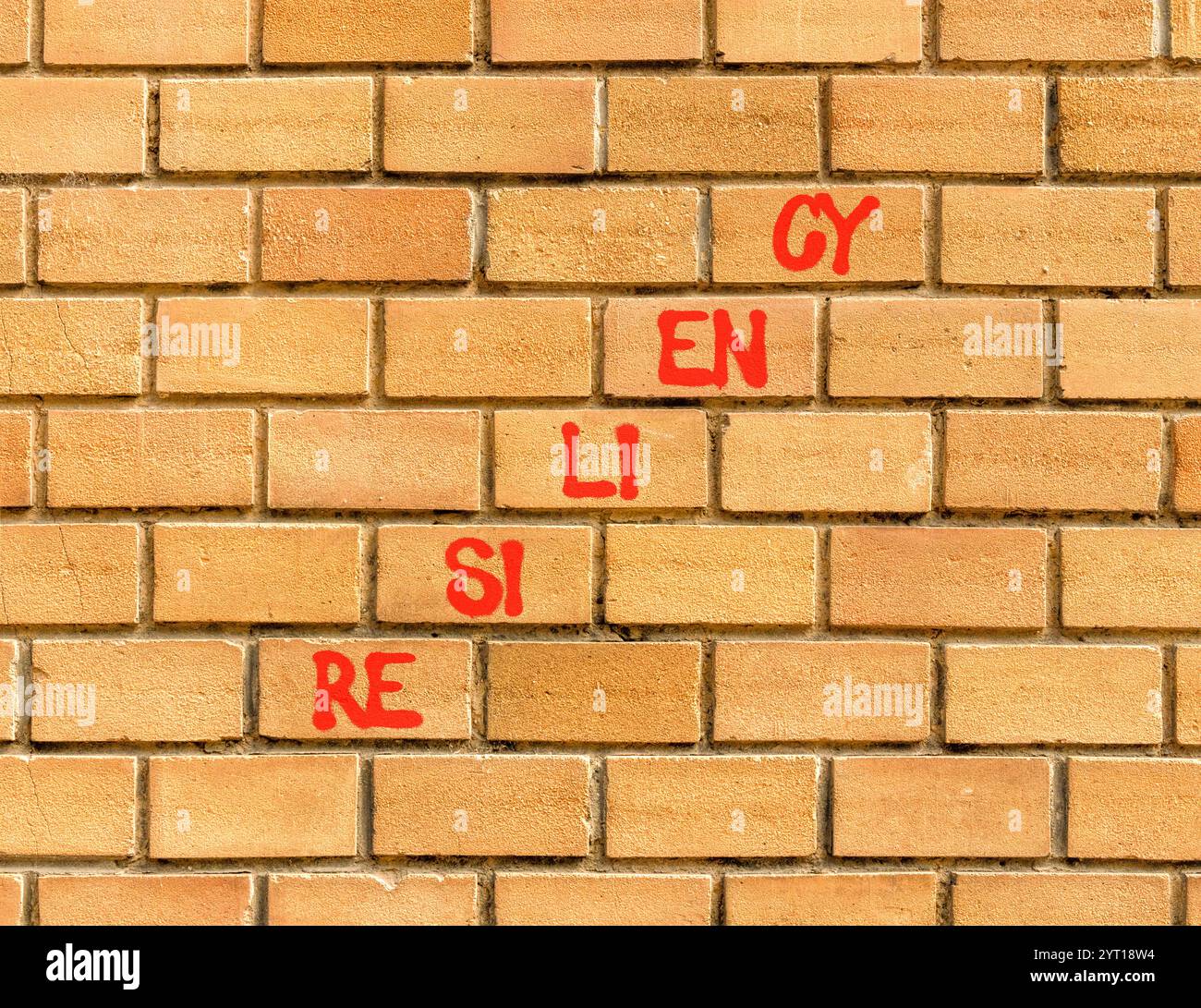 Resiliency symbol. Concept word Resiliency on beautiful brown bricks ...