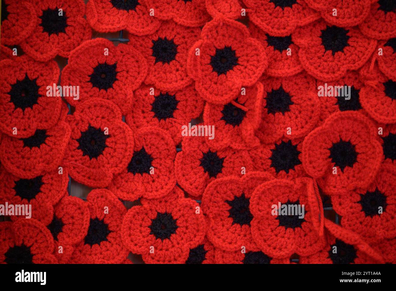 Crochet knitted poppies for Remembrance Day Stock Photo - Alamy