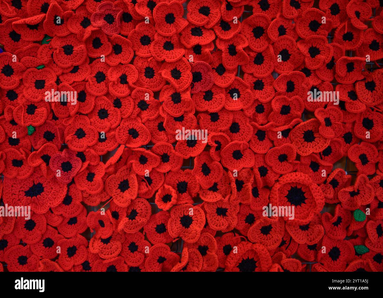 Crochet knitted poppies for Remembrance Day Stock Photo - Alamy