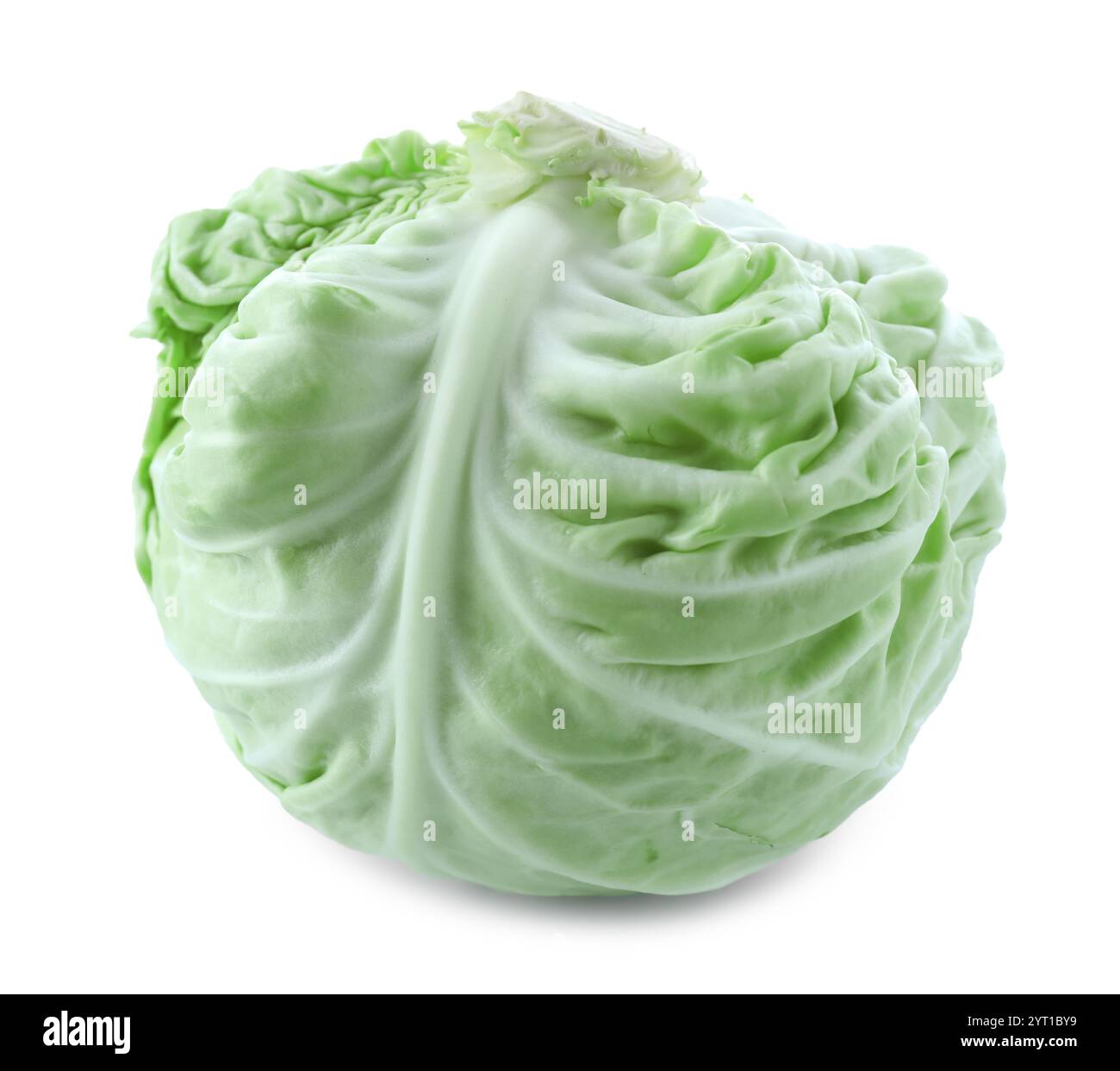 Whole head of cabbage isolated on white Stock Photo - Alamy