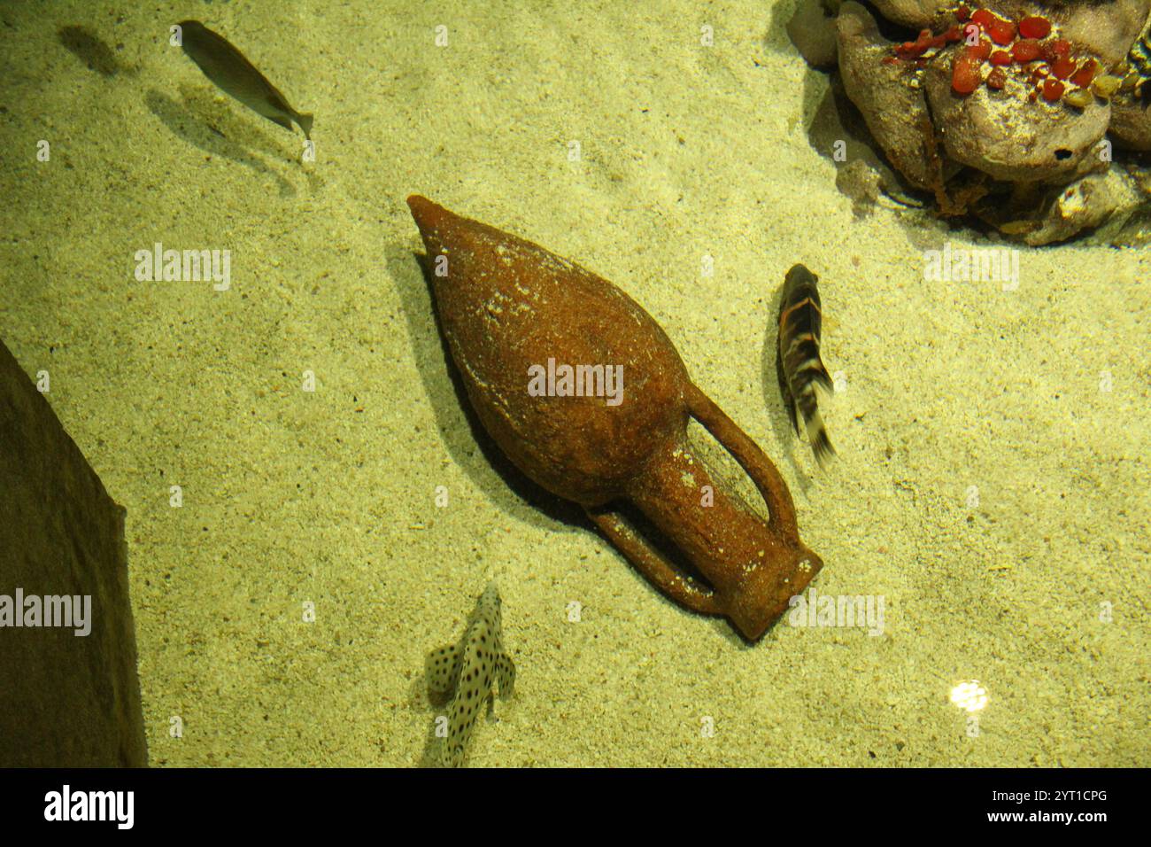 Amphora on the sand in the water. An ancient jug in an aquarium. Fossil ...