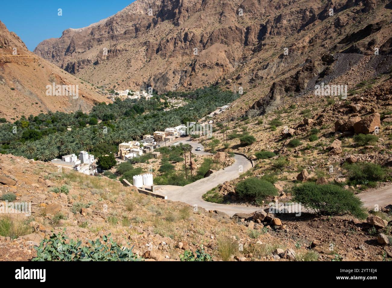 Photo of Wadi Tiwi oasis in Oman. The background shows unnamed village ...