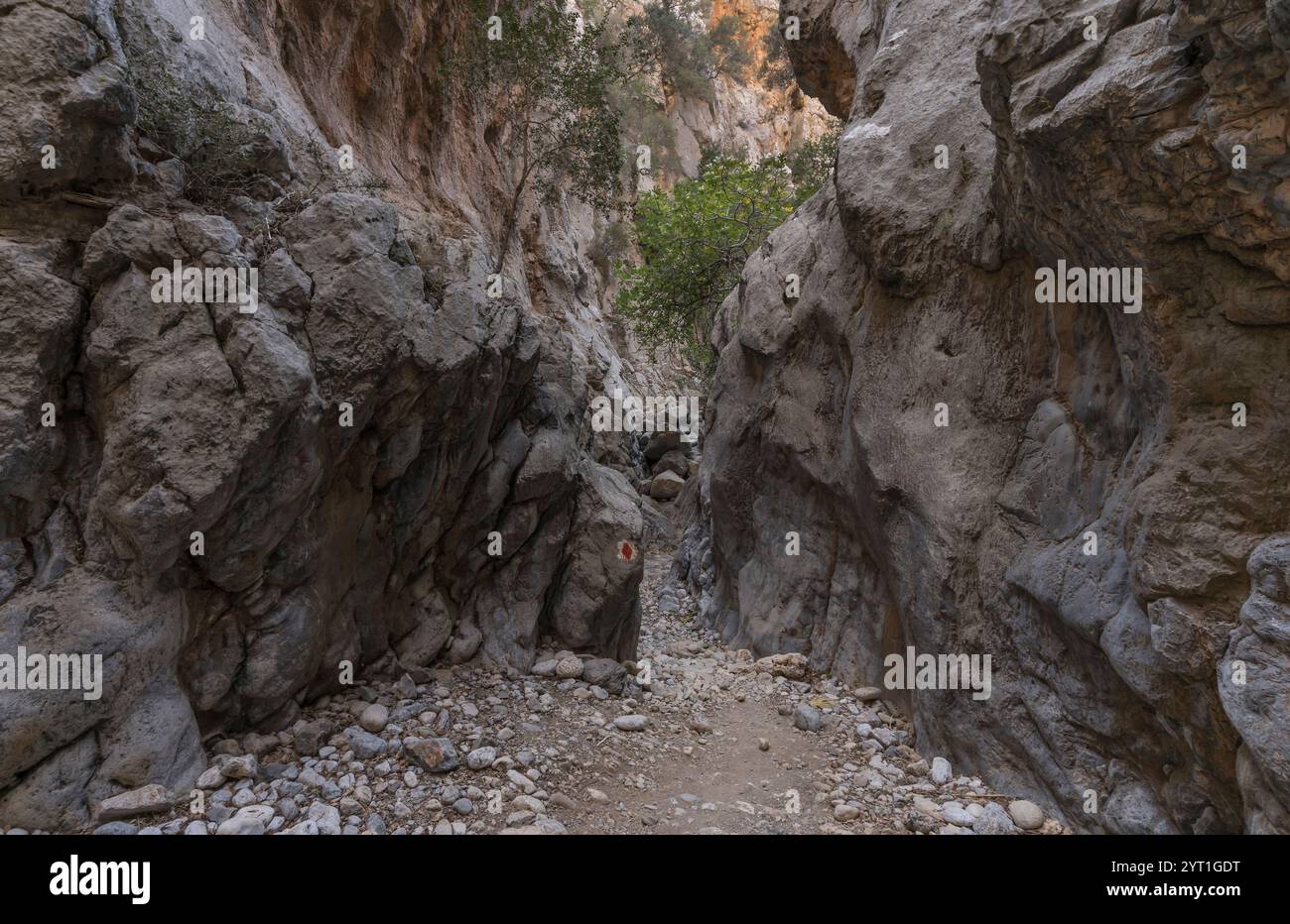 hiking trail in kritsa gorge Stock Photo - Alamy