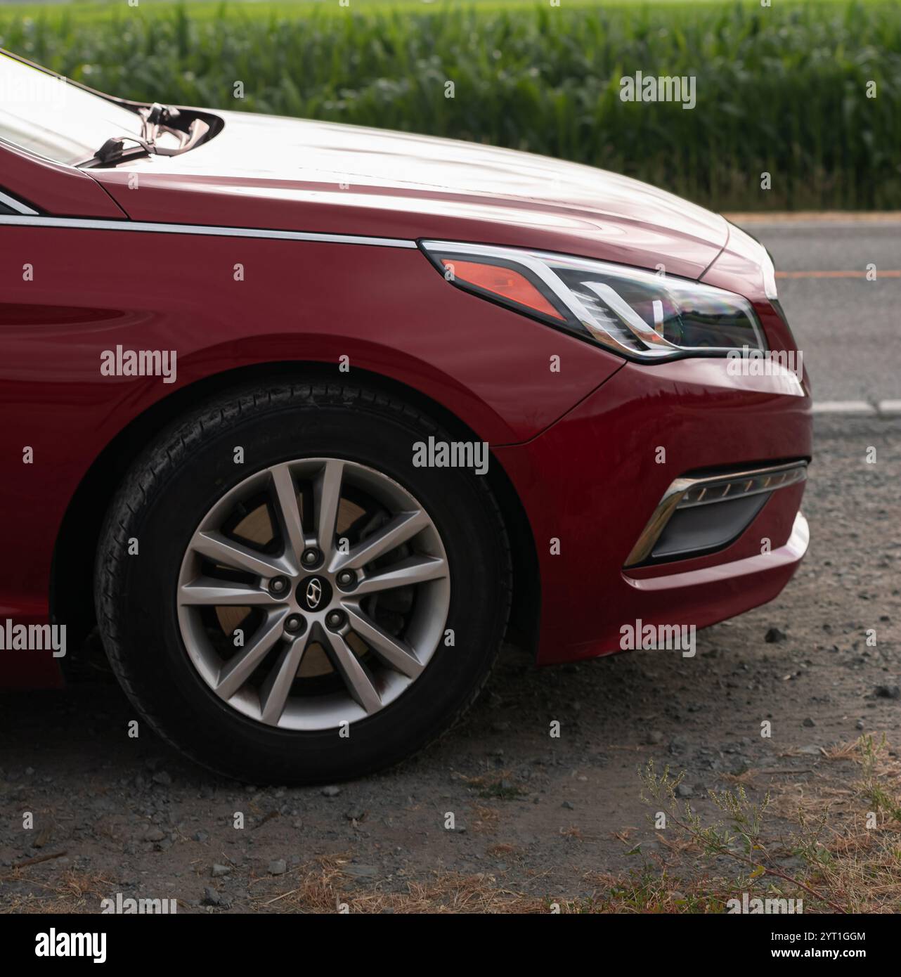 Front side photo of a red Korean mid-size sedan Hyundai Sonata Stock ...