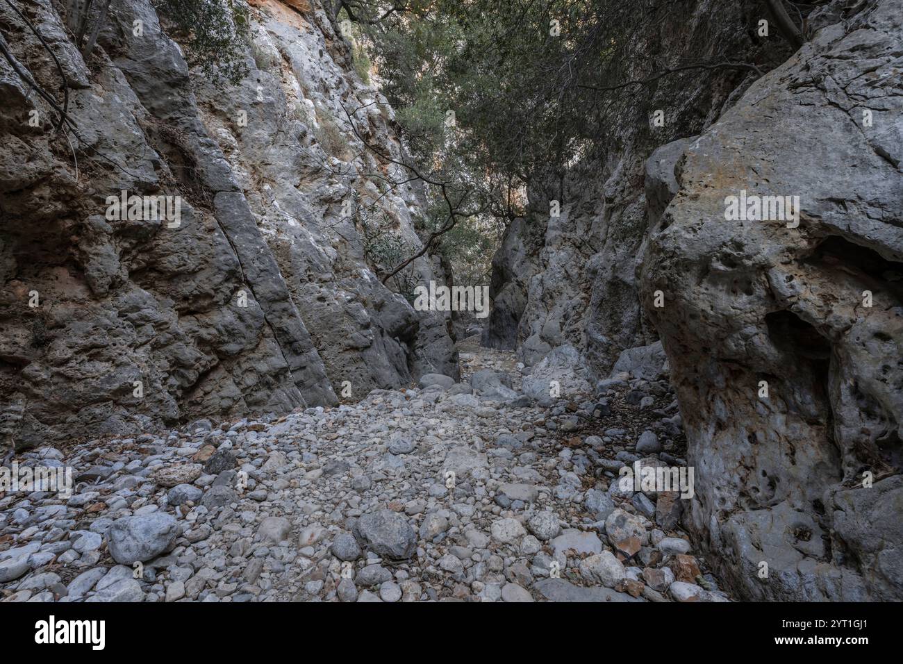 hiking trail in kritsa gorge Stock Photo - Alamy