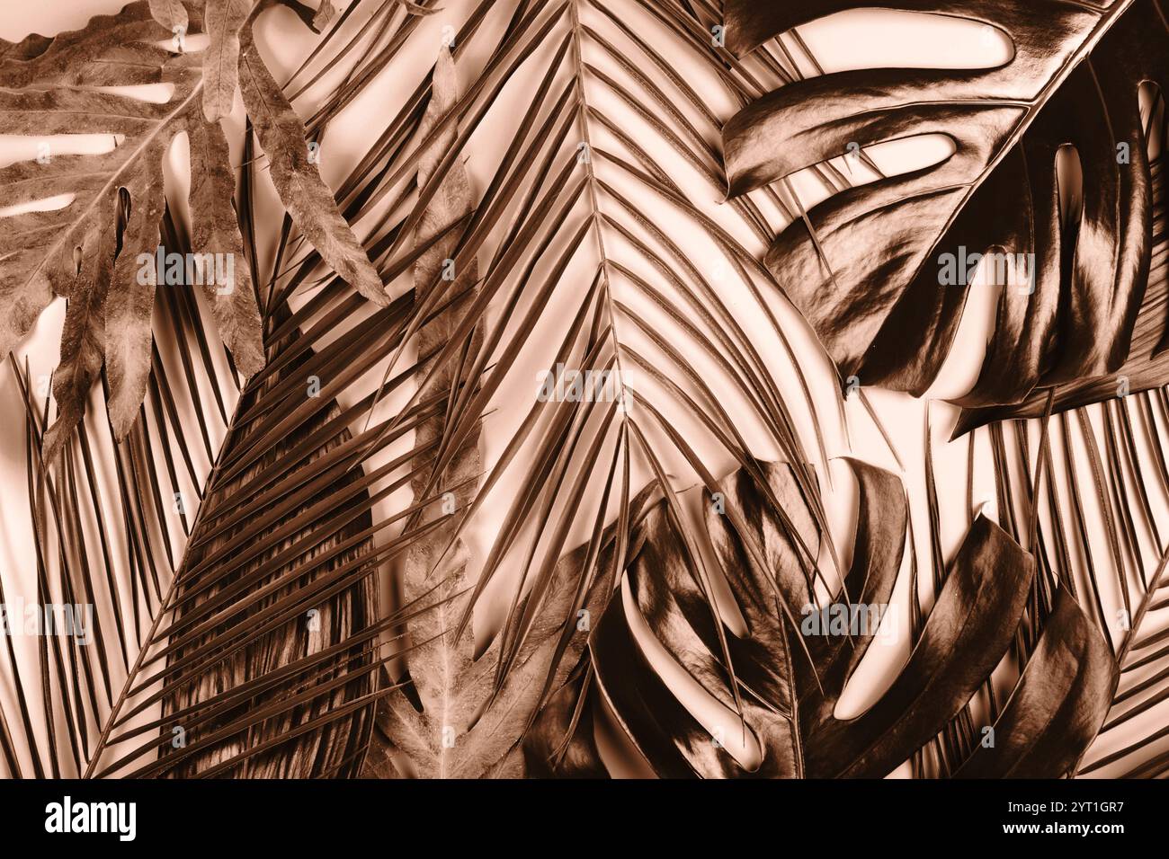 Artistic sepia-toned tropical leaves showcasing vibrant textures and ...
