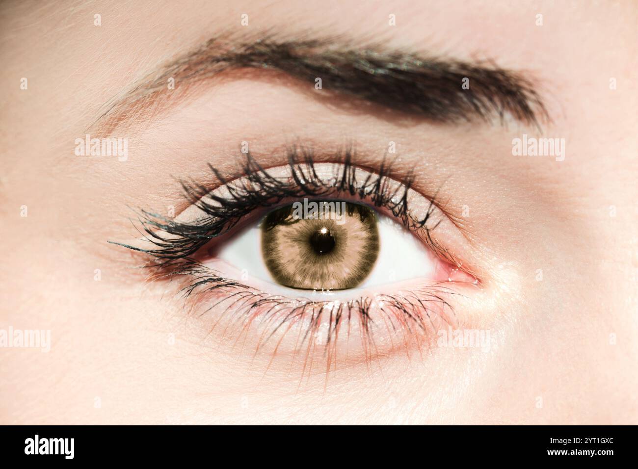 Close-up of a beautiful hazel eye with detailed eyelashes and perfect ...