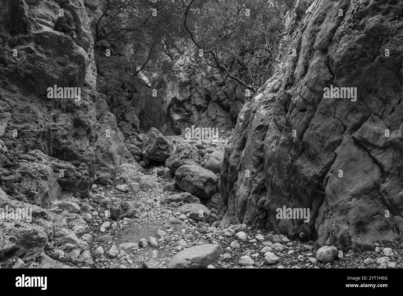 hiking trail in kritsa gorge Stock Photo - Alamy