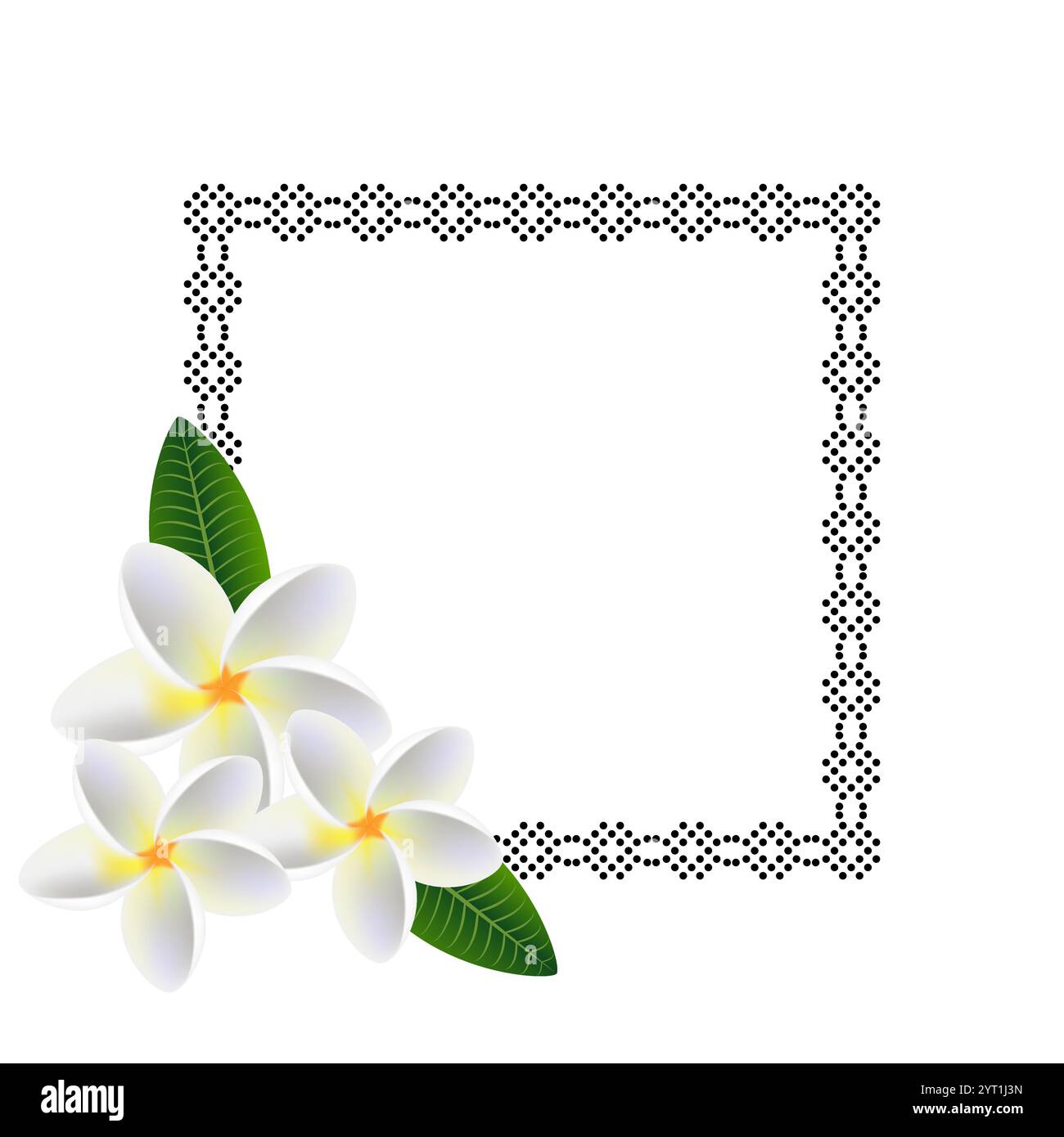 White frangipani frame green Cut Out Stock Images & Pictures - Alamy
