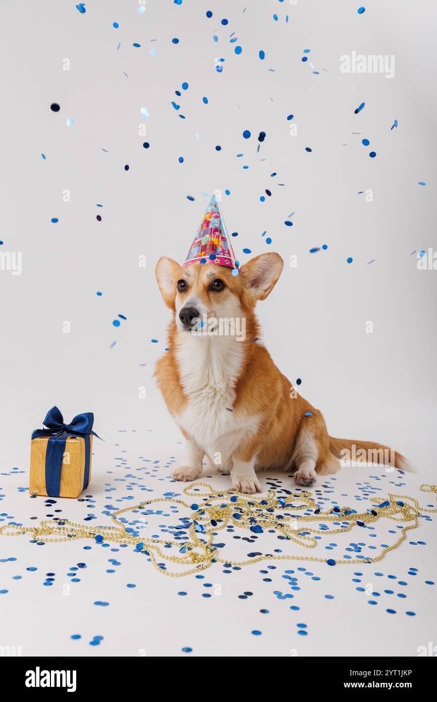 Confettiattack hi-res stock photography and images - Alamy