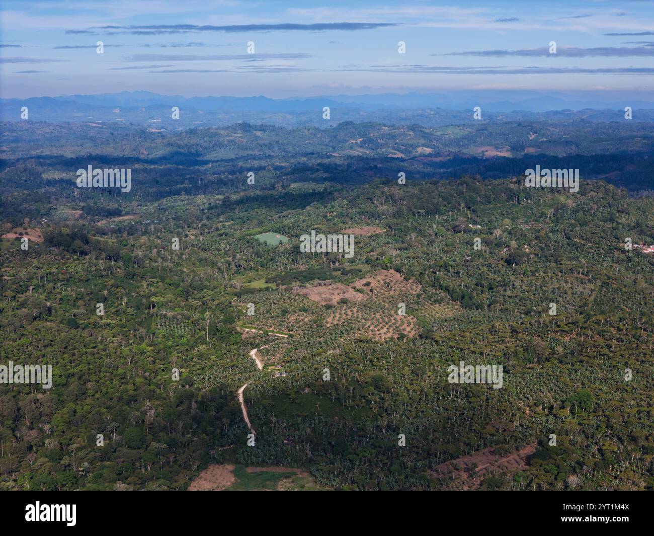 Tropical farm aerial landscape in morning sun light Stock Photo - Alamy