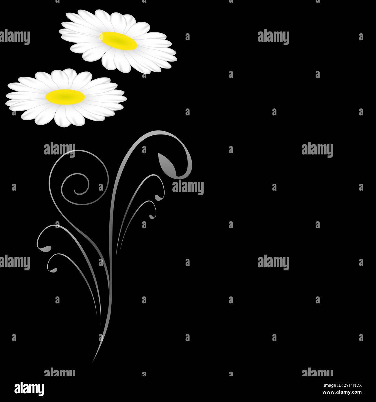Daisies on a black background, design element Stock Vector Image & Art ...