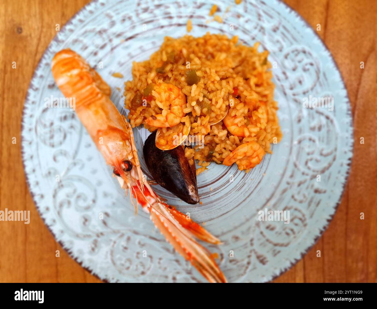 Norway lobster, mussels, and shrimp arranged on a light blue plate ...
