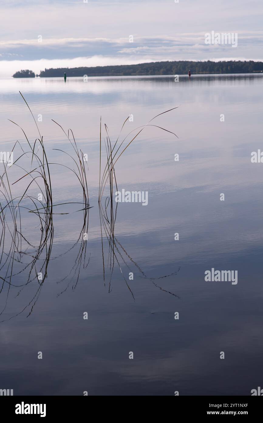 Swedish outdoor life hi-res stock photography and images - Alamy