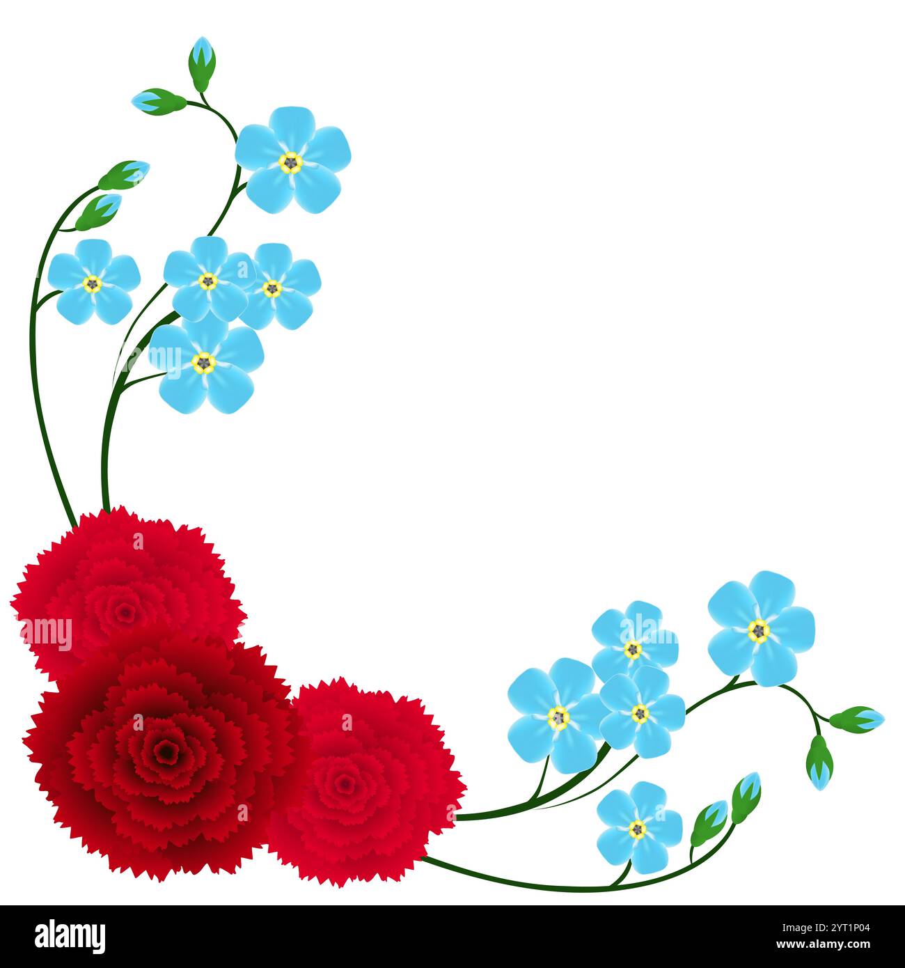 Floral composition carnations flowers Stock Vector Images - Alamy