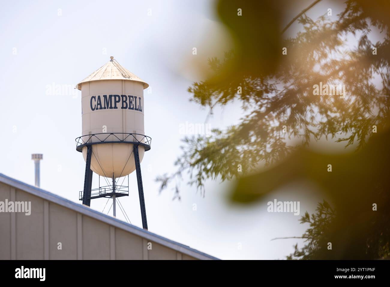 Campbell, California, USA - August 29, 2024: Afternoon sun shines on ...