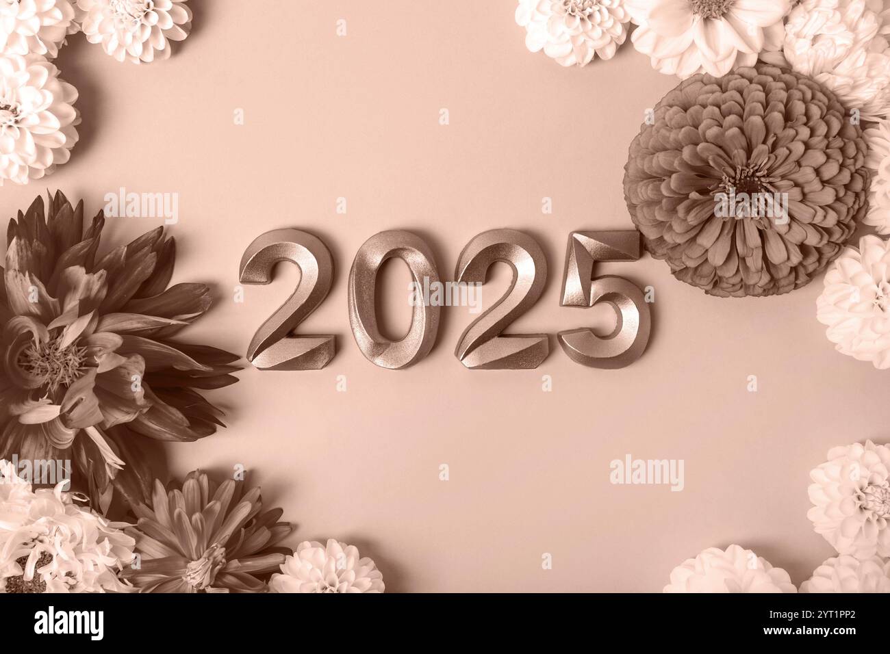 Numbers and dahlia flowers. 2025 new year idea concept. Demonstrating ...