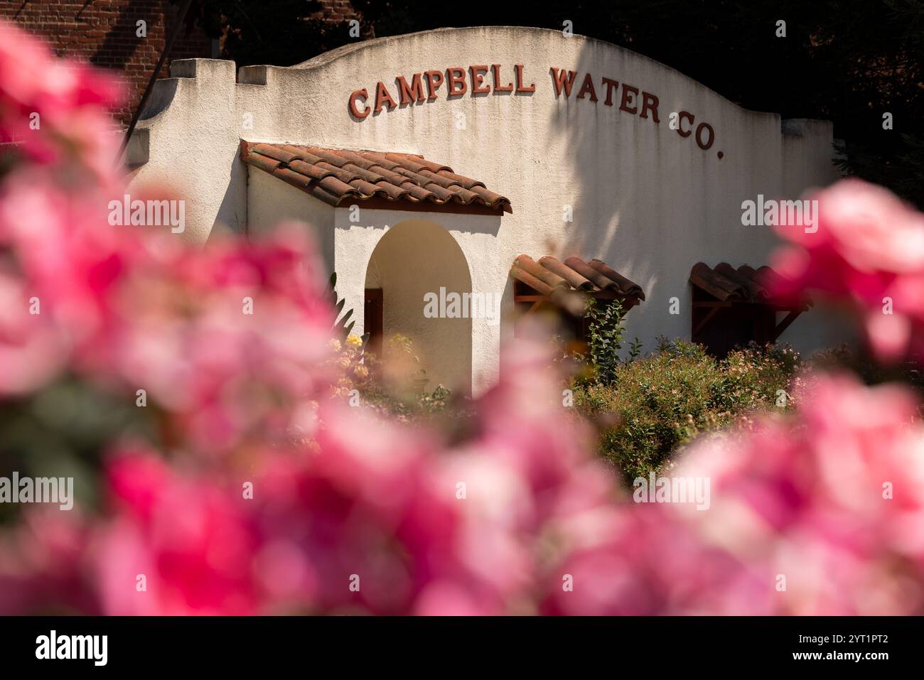 Campbell, California, USA - August 29, 2024: Afternoon sun shines on ...